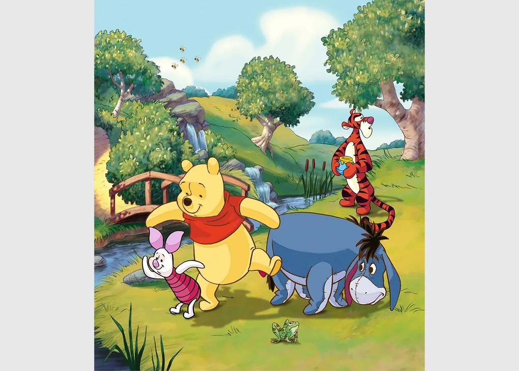 Dětská vliesová fototapeta na zed' Medvídek Pú, Disney | 180 x 202 cm | DFTDNXL 5135