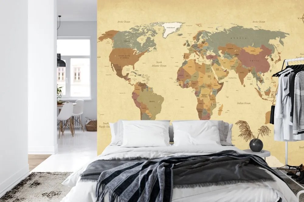Fototapeta Mapa Světa Omyvatelný vlies 450x300