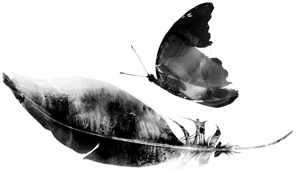 Samolepící tapeta pírko s motýlem v černobílém - 150x100 cm