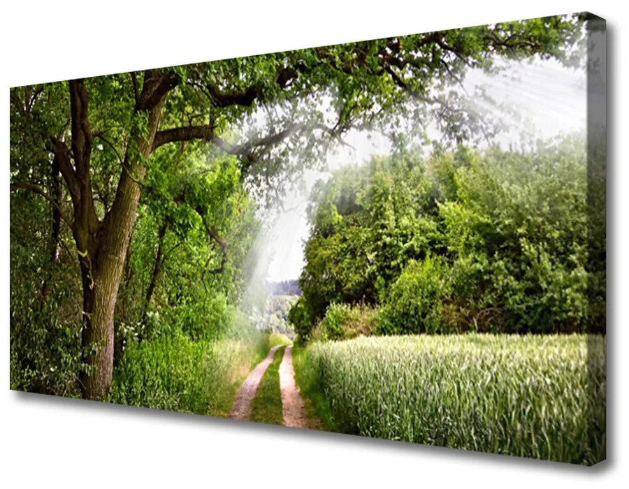 Obraz na plátně Stromy Stezka Příroda 100x50cm