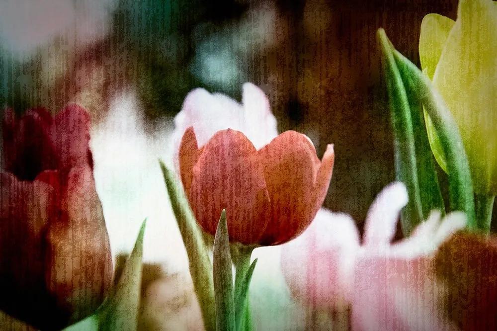 Samolepící tapeta louka tulipánů v retro stylu - 300x270