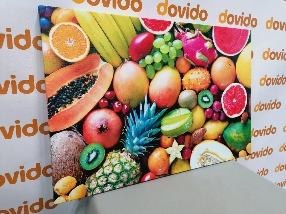 Obraz tropické ovoce - 120x80 cm