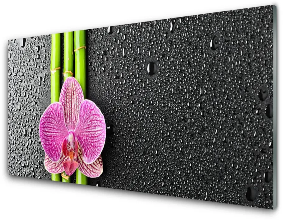Akrylov Obraz Bambus Kv t Rostlina P roda 120x60 Cm BIANO akrylov-obraz-bambus-kv-t-rostlina-p-roda-120x60-cm-biano