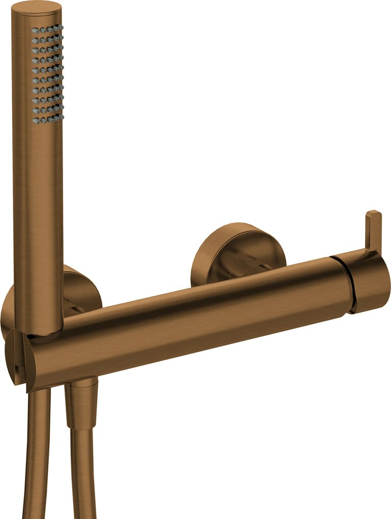 Deante Sprchová baterie Silia s integrovaným držákem sprchy - BQS C41M