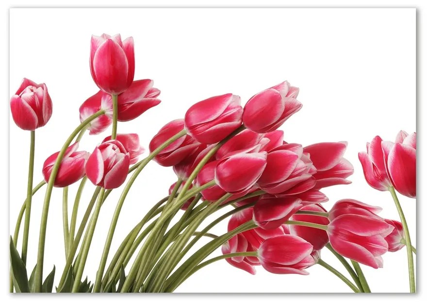 Wallmuralia Foto obraz akrylový Červené tulipány 100x70