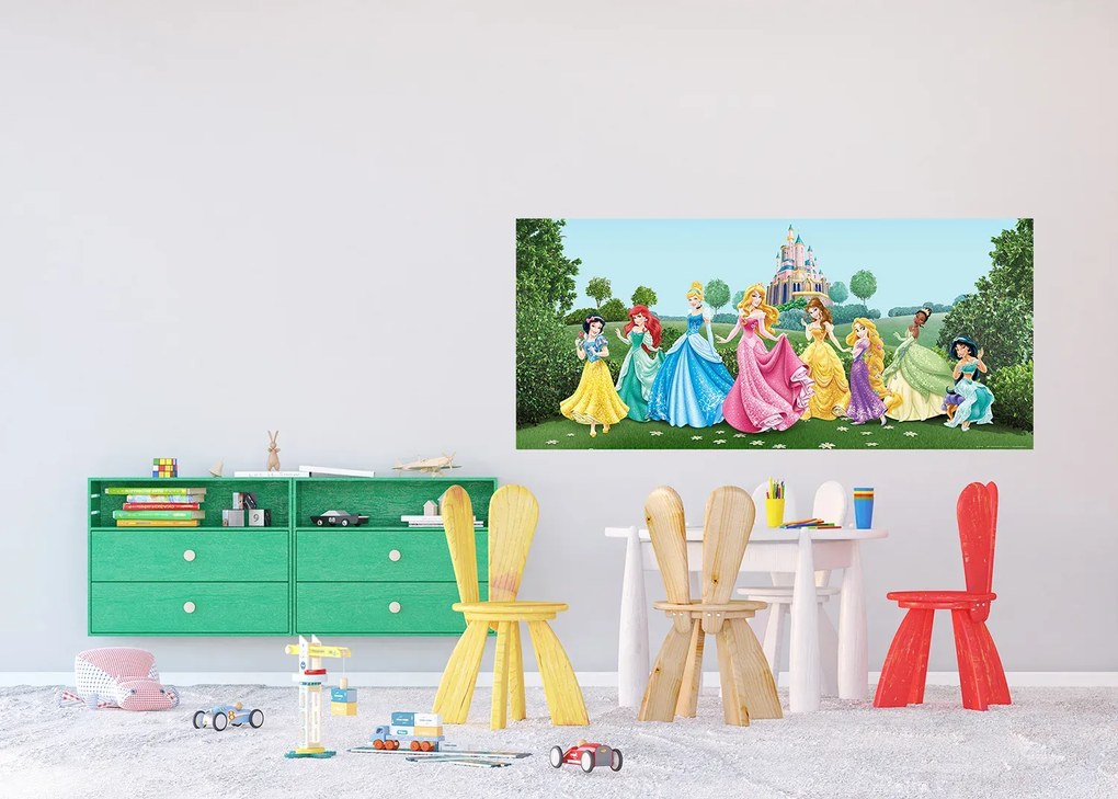 Dětská vliesová fototapeta na zed' Princezny, Disney | 202 x 90 cm | DFTDNH 5325