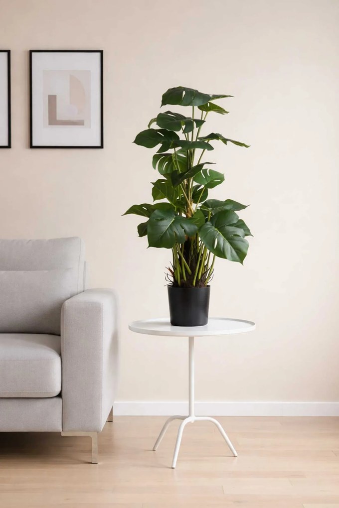 Umělá rostlina v květináči MONSTERA, plast, výška 85 cm, zelená