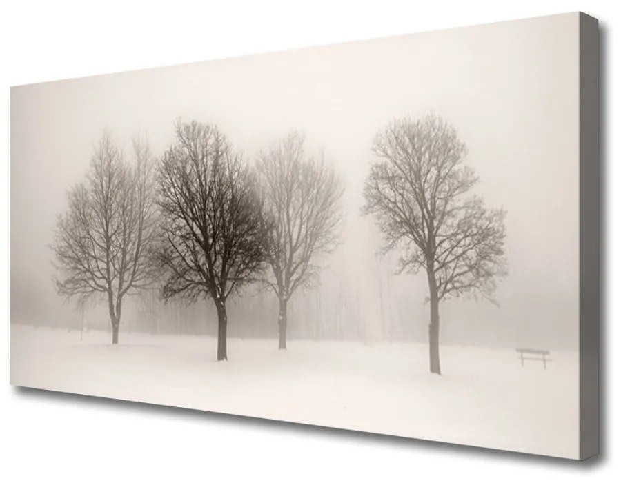 Obraz na plátně Sníh Stromy Krajina 100x50 cm