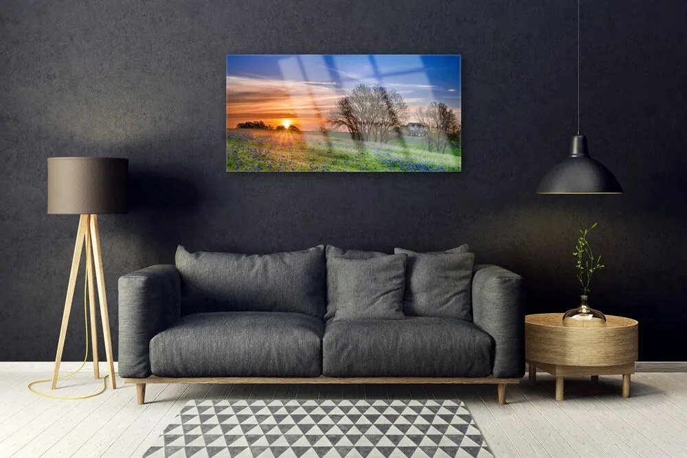 Obraz na skle Louka Slunce Krajina 125x50 cm