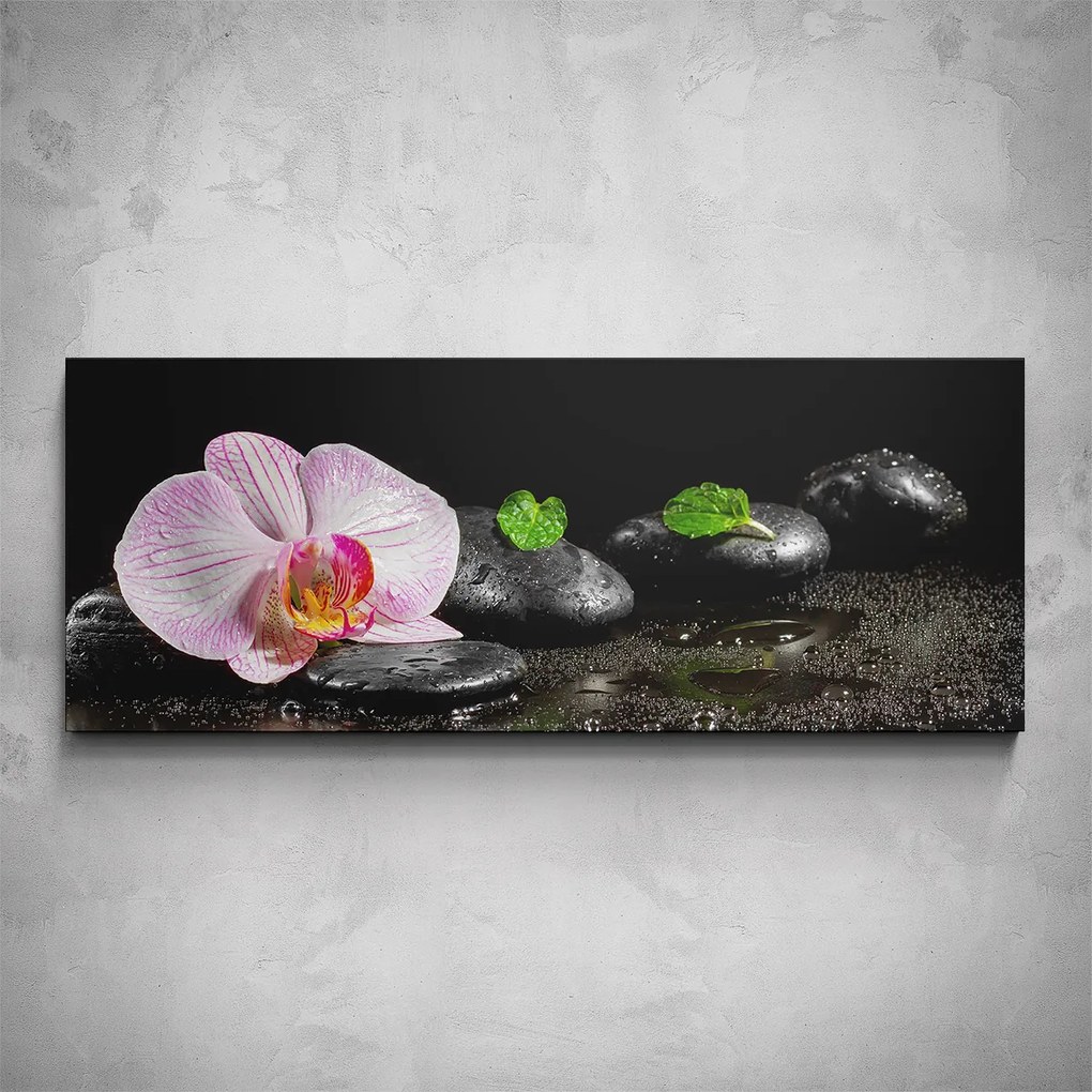 Obraz - Orchidej na kamenech - PopyDesign