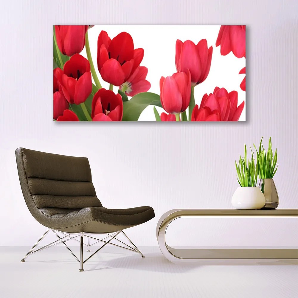 akrylový obraz Tulipány Květiny Rostlina 120x60 cm