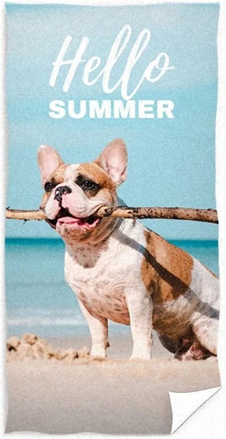 Bavlněná plážová osuška s buldočkem - motiv Hello Summer - 100% bavlna, froté s gramáží 300 gr./m² - 70 x 140 cm