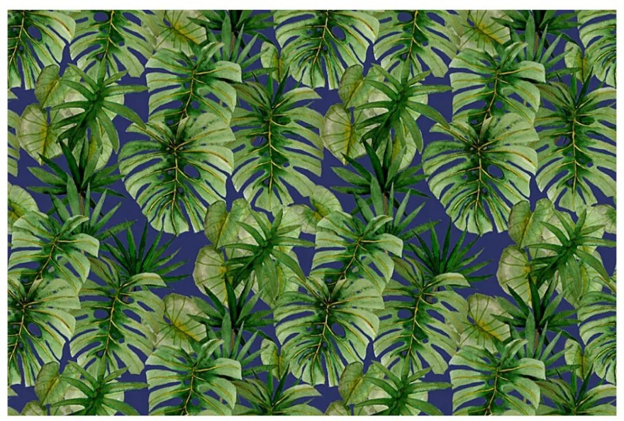 Fototapeta Tropické monstera 104x70