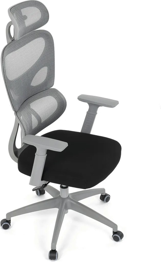 Ergonomická kancelářská židle RENEE - šedá síťovina / černá látka