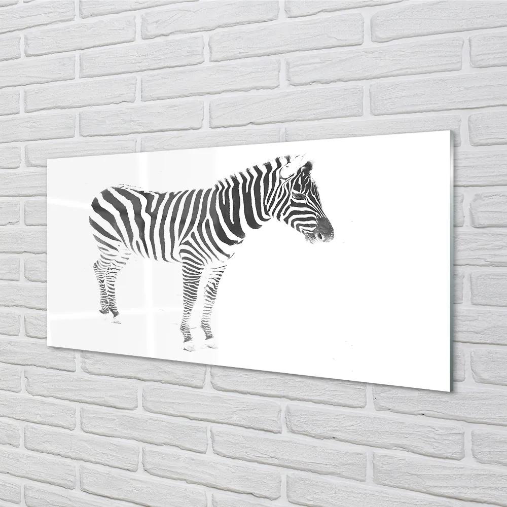 akrylový obraz malované zebra 100x50 cm
