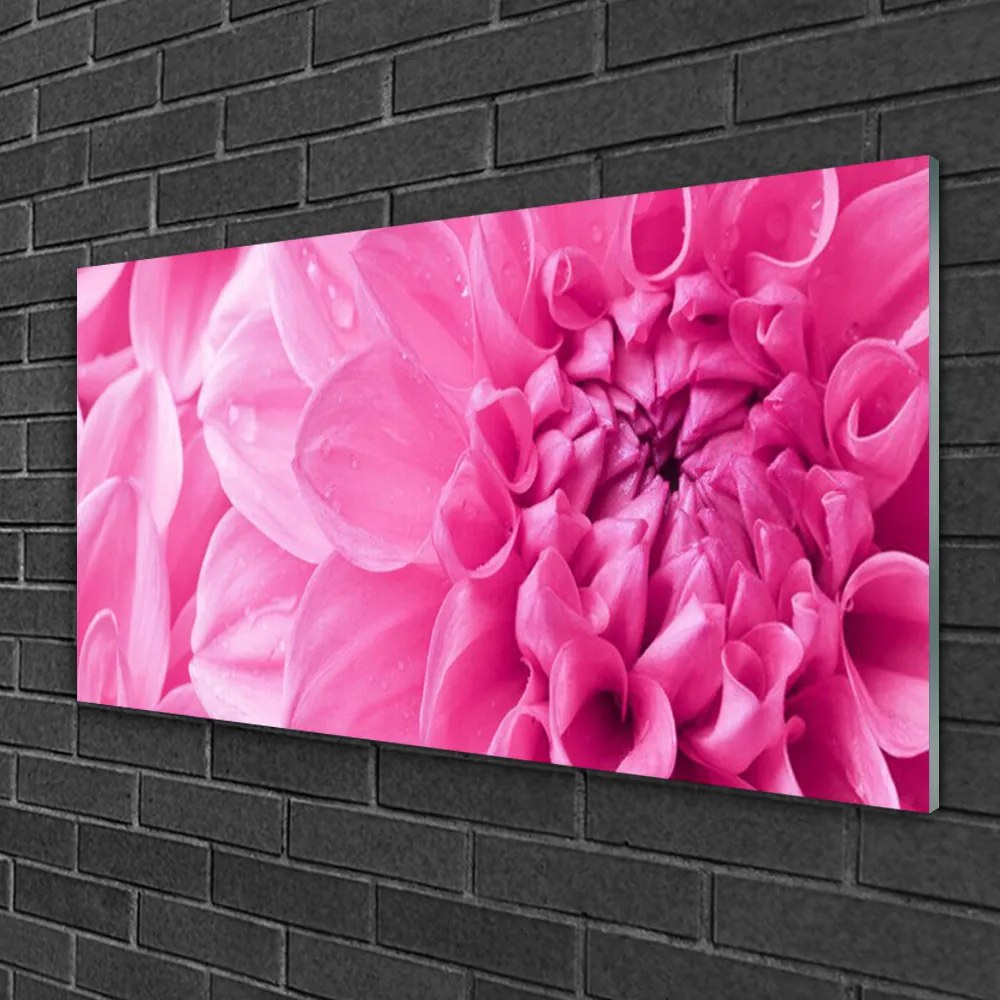 Obraz na skle Květiny Rostlina Příroda 140x70 cm