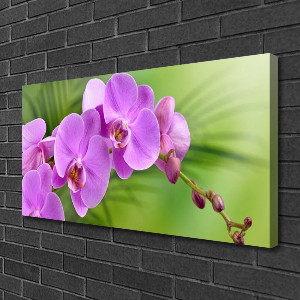 Obraz na plátně Vstavač Orchidej Květiny 125x50 cm