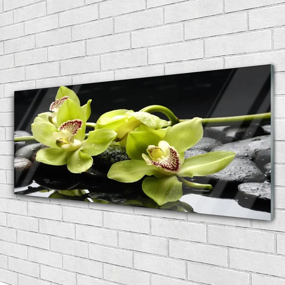 akrylový obraz Květ Kameny Rostlina 125x50 cm