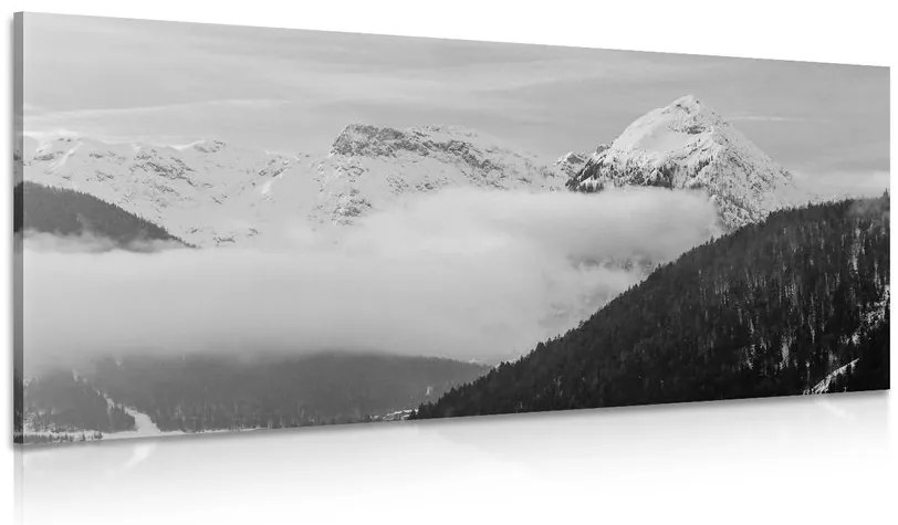 Obraz zimní krajina v černobílém provedení Varianta: 100x50
