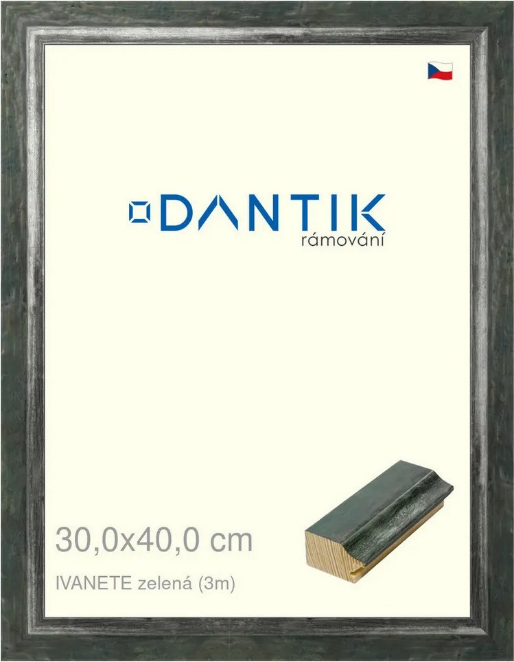 DANTIK rámeček 30x40 | IVANETE zelená (Plexi Čiré)