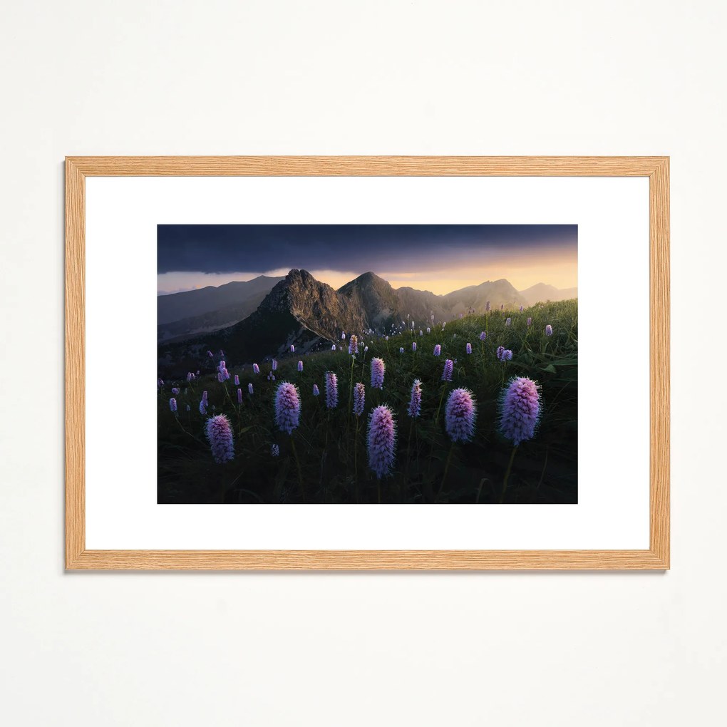Filip Hrebenda | Farewell to the Sun Rám: Bílý, Velikost: 30 x 40 cm