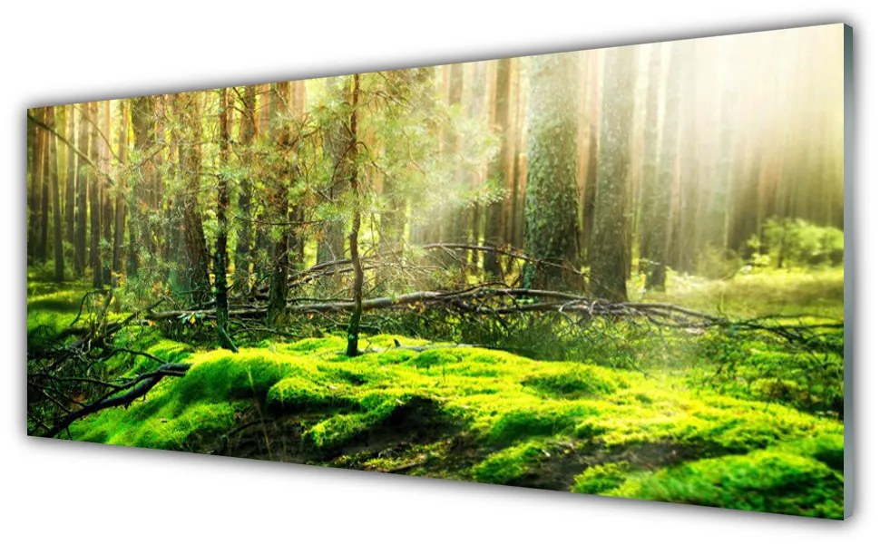 akrylový obraz Mech Les Příroda 125x50 cm