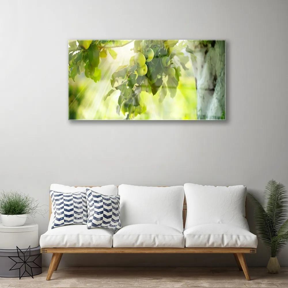 akrylový obraz Jablka Větev Strom Příroda 100x50 cm