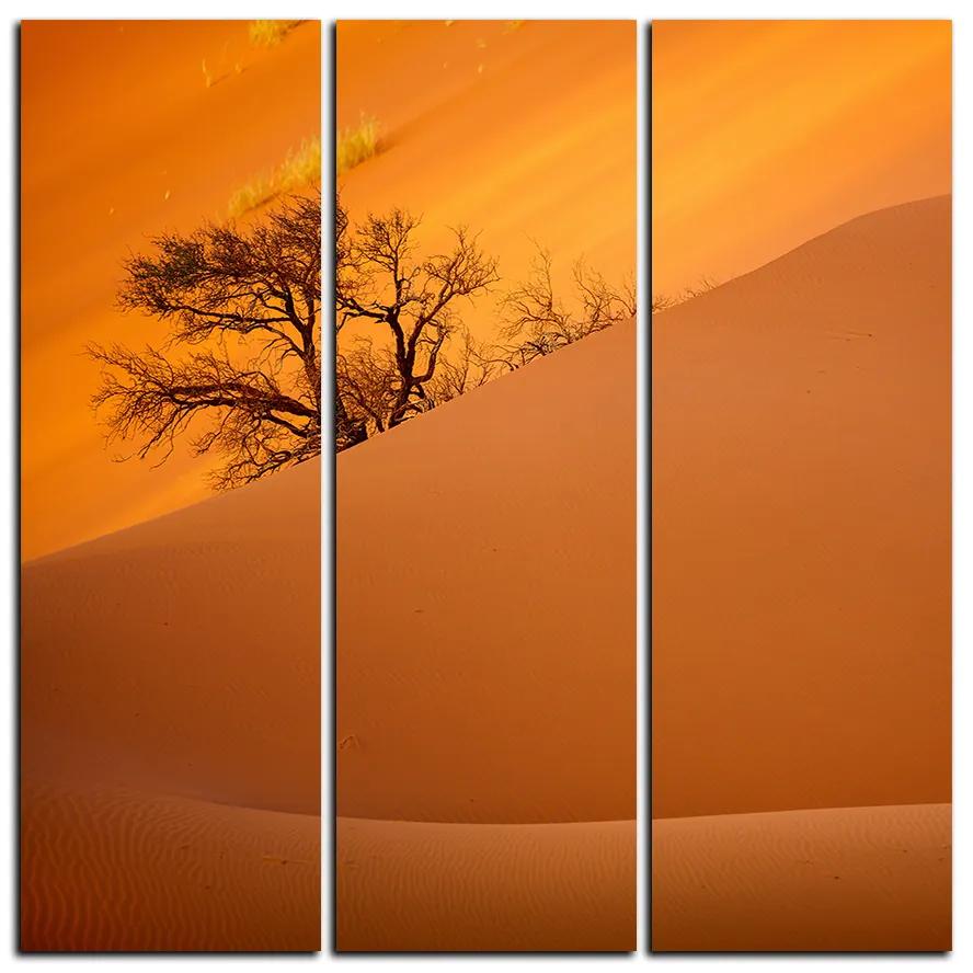 Obraz na plátně - Červené písečné duny - čtverec 3133B (75x75 cm)
