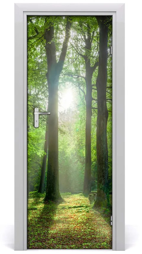 Fototapeta na dveře slunce v lese 75x205cm