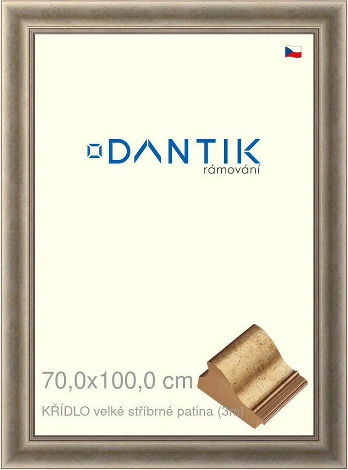 DANTIK rámeček 70x100 | KŘÍDLO velké stříbrné patina (Plexi Čiré)