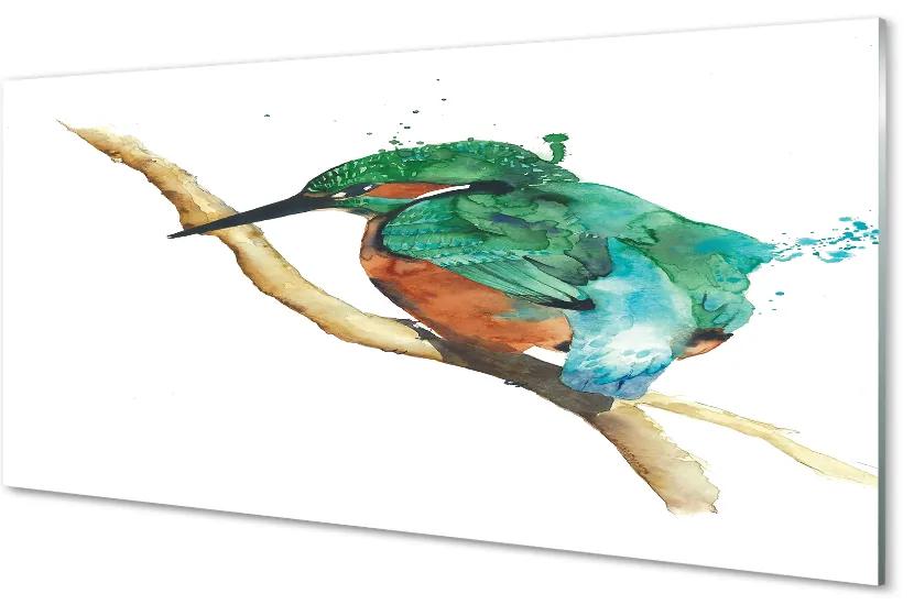 Obraz na skle Barevné malované papoušek 140x70 cm