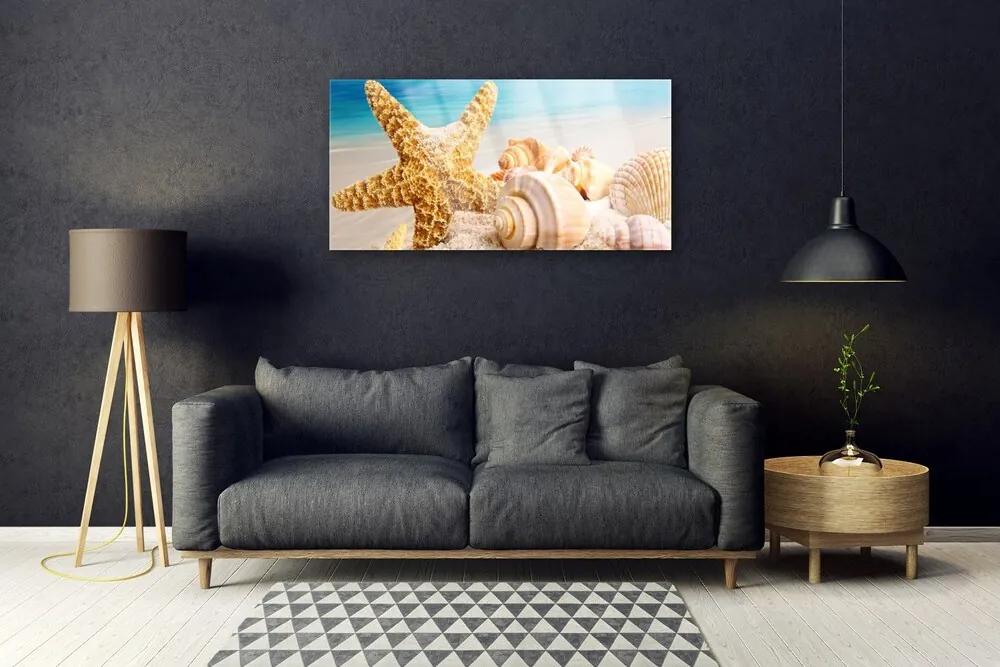akrylový obraz Hvězdice Mušle Umění 100x50 cm