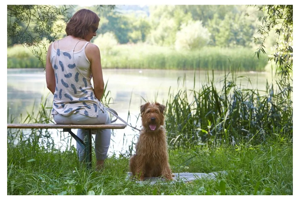 Cestovní deka pro psy Cosmo hnědá S MiaCara