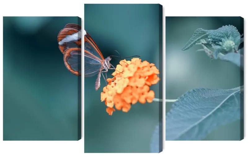 Vícedílný obraz Motýl V Letní Zahradě Nedostatek Nedostatek Přírodní plátno 150x100