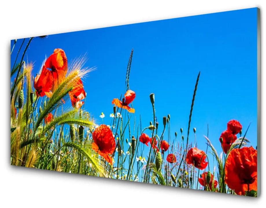 Obraz na skle Květiny Máky Pole Trávy 140x70 cm