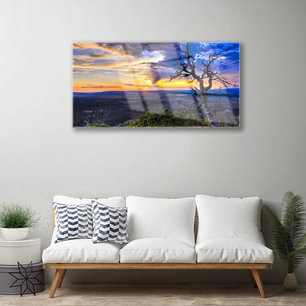 Plexisklo-obraz Strom Zápas Slunce 100x50 cm