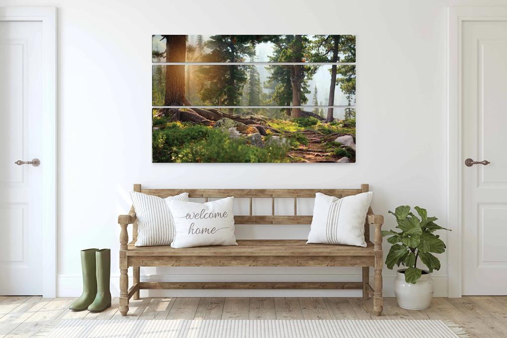 Malvis ® Vícedílný obraz Procházka lesem Velikost (šířka x výška): 130x80 cm