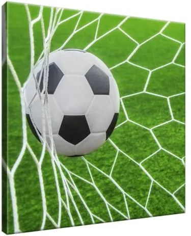 Tištěný obraz Fotbalový míč v bráně 30x30cm 3872A_1AI