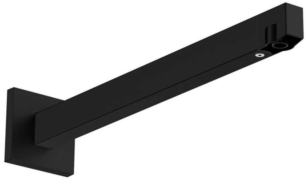 Hansgrohe - Sprchové rameno, 41 cm, matná černá 24337670
