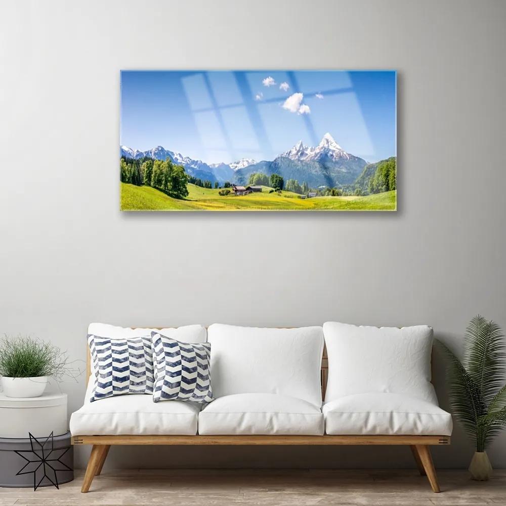 Obraz na skle Pole Stromy Hory Krajina 125x50 cm