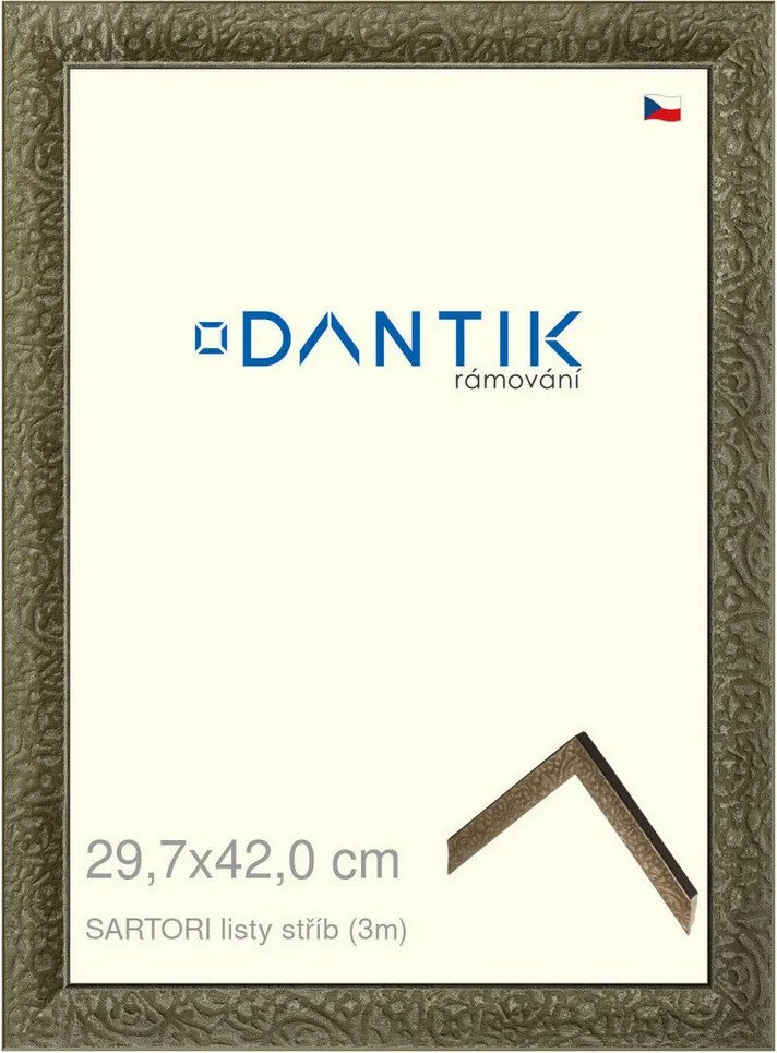 DANTIK rámeček 29,7x42 | SARTORI listy stříb (Plexi Čiré)