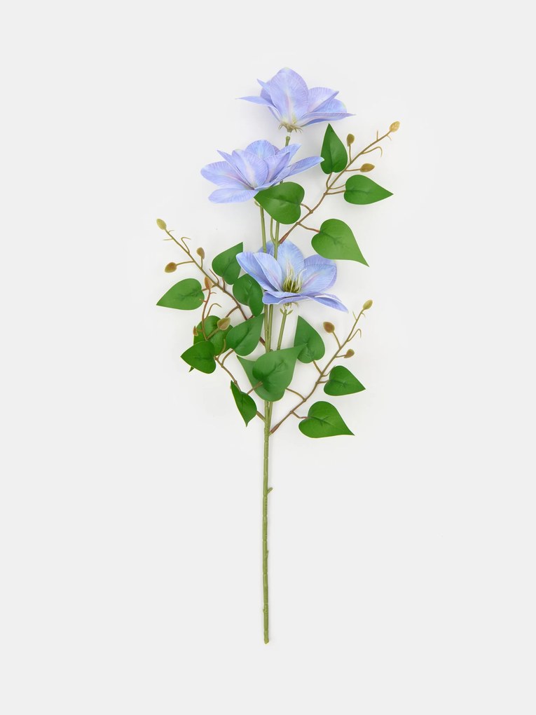 Sinsay - Decorative plant – clematis - modrá