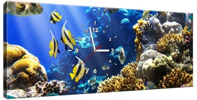 Tištěný obraz s hodinami Korálový útes 100x40cm ZP1347A_1I