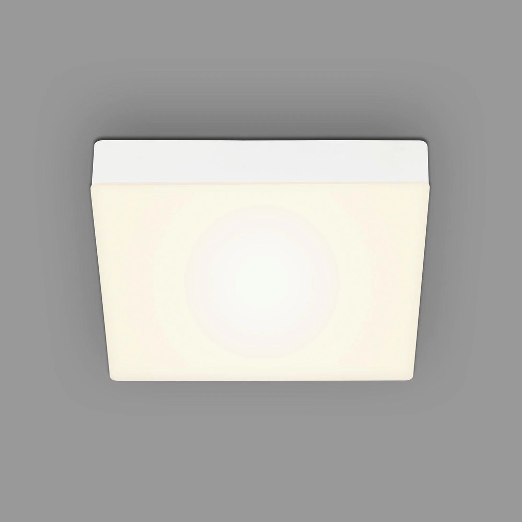 XXXLutz STROPNÍ LED SVÍTIDLO, 21.2/21.2/3.6 cm - Stropní svítidla - 004474010602