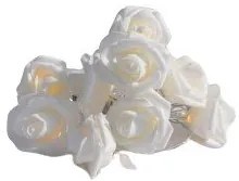 LED světýlka na baterie, růžičky, 1,8 m, teple bílá, 10 diod, čirý kabel, IP20 interiér, 2× AA