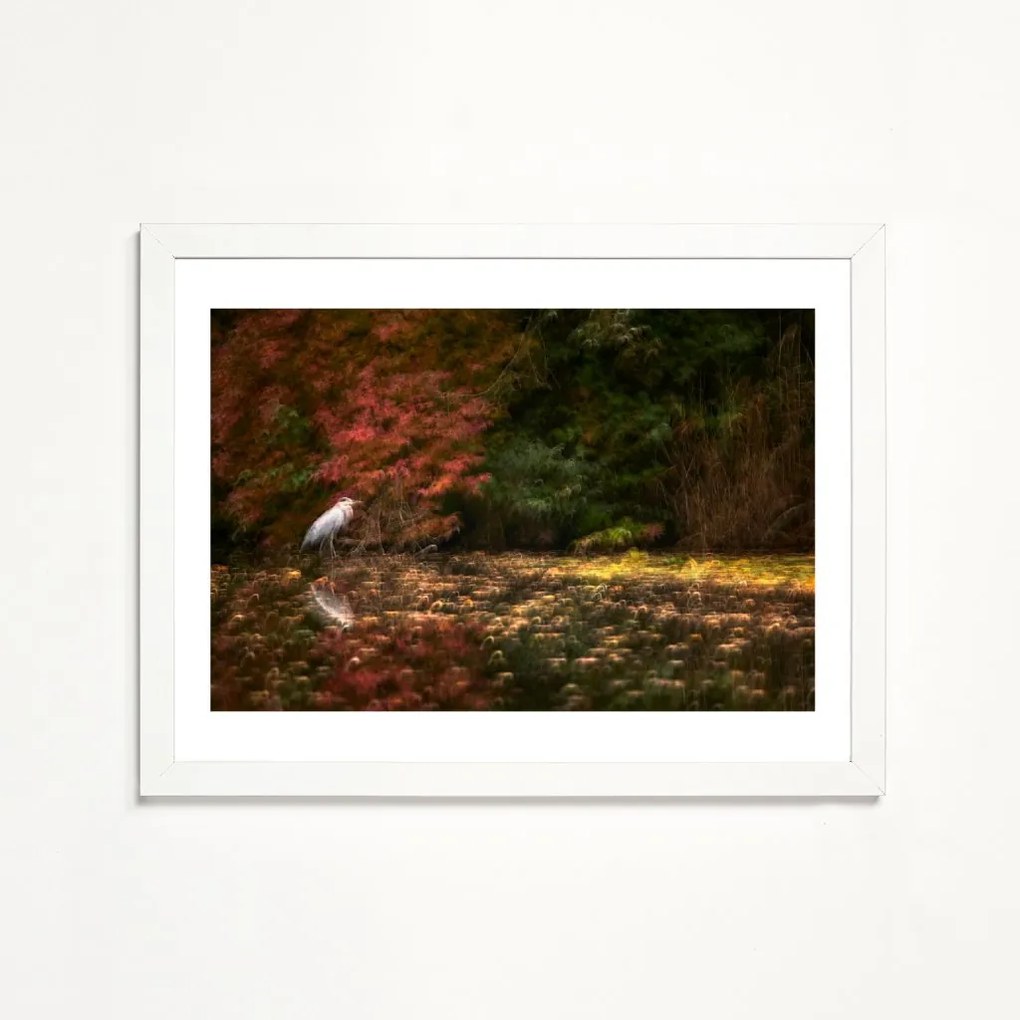 Jiří Hřebíček | Silent Autumn Admirer Rám: Dubový, Velikost: 30 x 40 cm