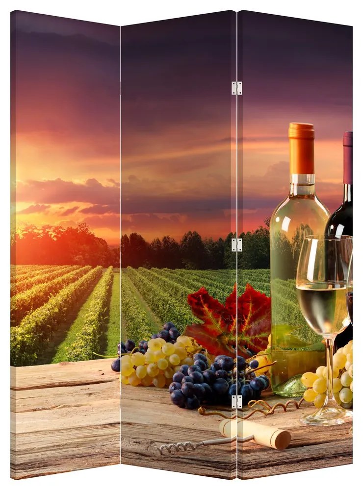 Paraván - Vinice s vínem (126x170 cm)