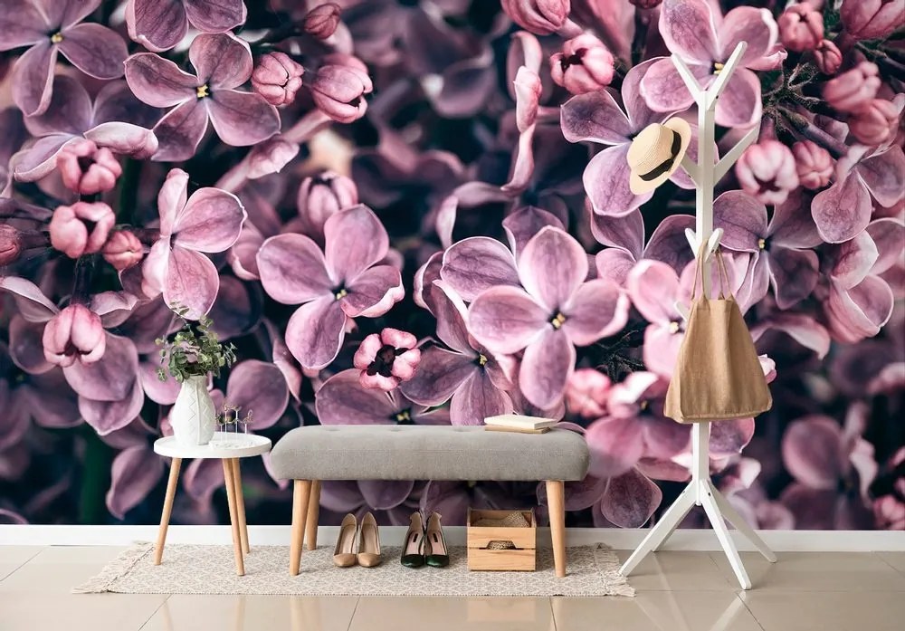 Samolepící fototapeta fialové květy šeříku - 225x150 cm
