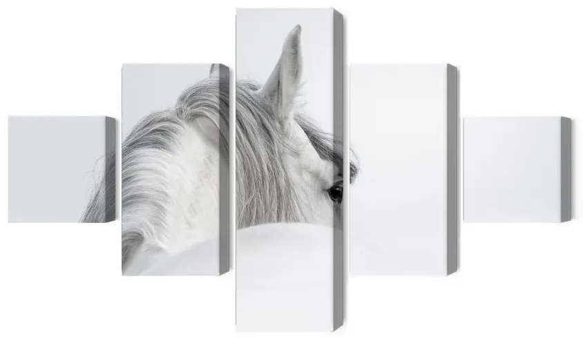 Vícedílný obraz Andaluský Kůň V Mlze Nedostatek Nedostatek Plátno Canvas 150x90