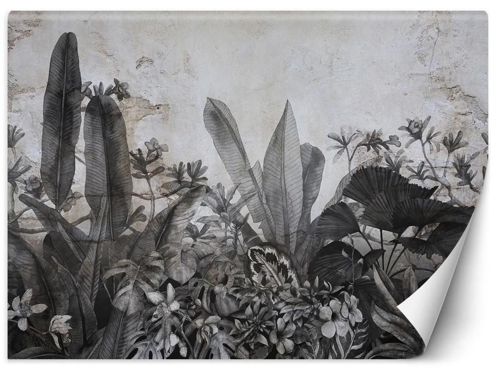Gario Fototapeta Černobílé tropické listy na betonu Materiál: Vliesová, Rozměry: 200 x 140 cm